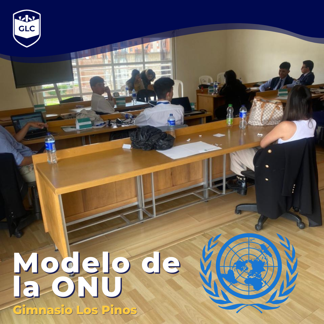 Modelo de la ONU