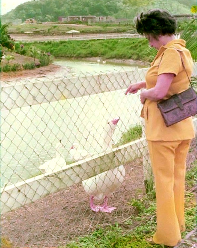 Recordando El Monoloro