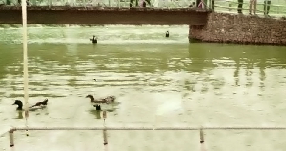 Recordando El Monoloro