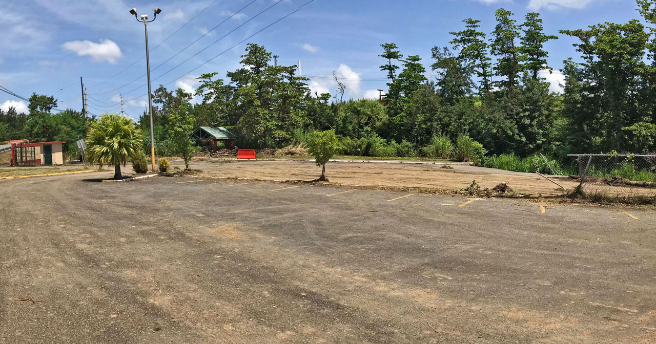 ¡Maracuto está cogiendo forma!