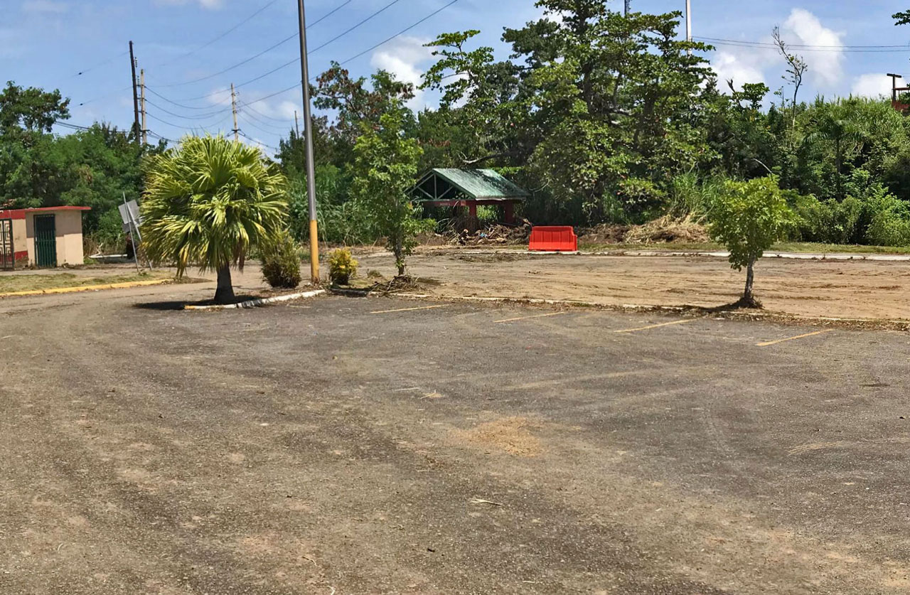 ¡Maracuto está cogiendo forma!