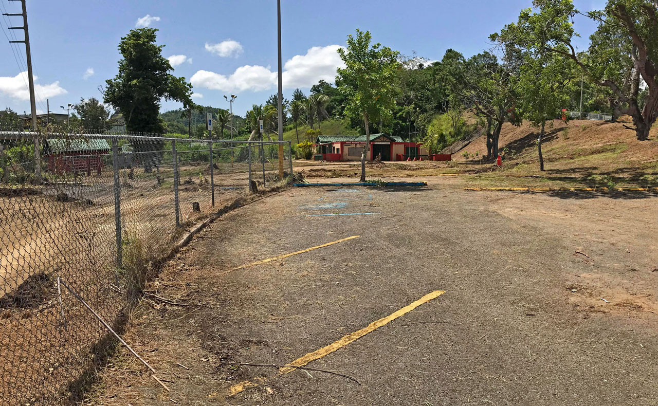 ¡Maracuto está cogiendo forma!