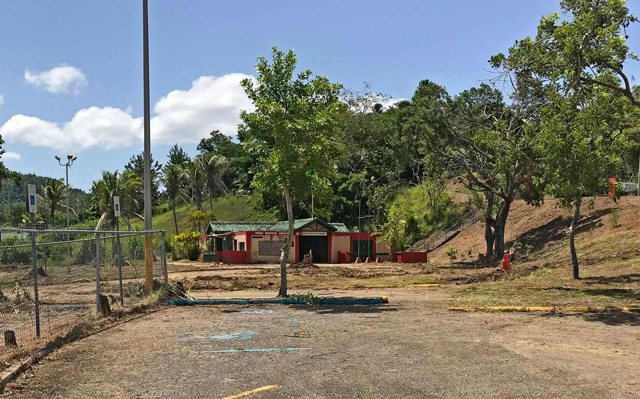 ¡Maracuto está cogiendo forma!