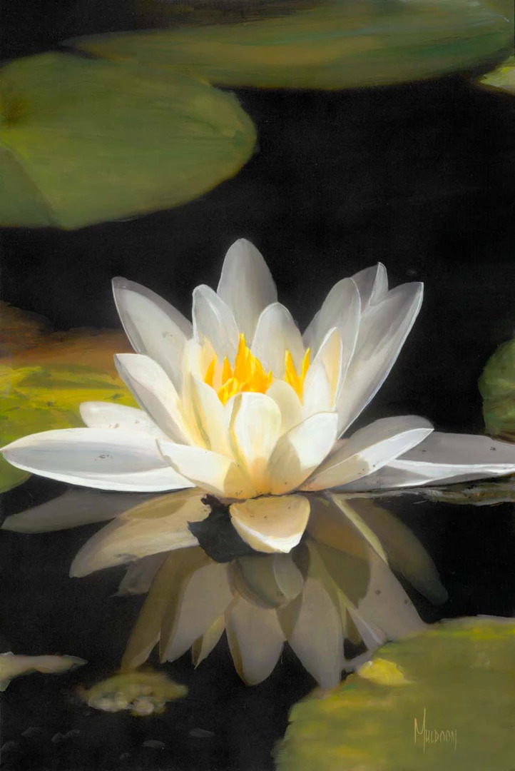 Ivory Lotus