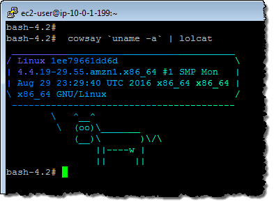 New amazon linux container image for cloud and on premises workloads