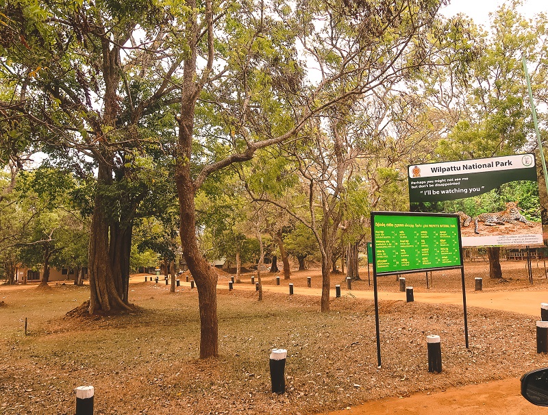 Our Incredible Wilpattu National Park Safari (Less Than $100!)