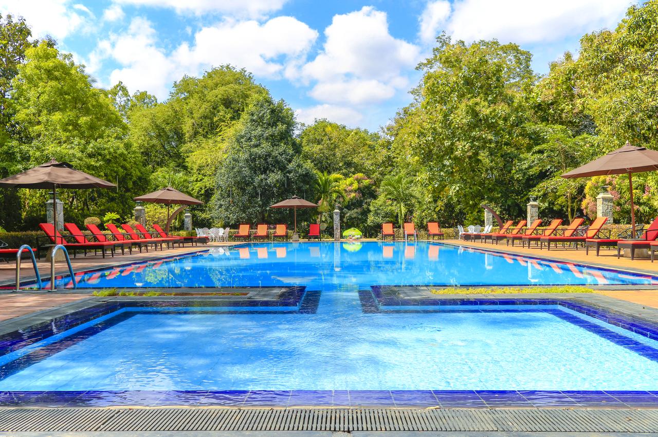 Amazing Accommodation In Anuradhapura: Our Top 12 Choices [WITH PICS]