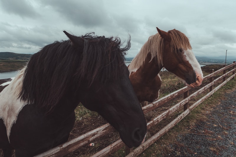 17 Best Things To Do In Donegal [Ireland] 2020 Travel Guide