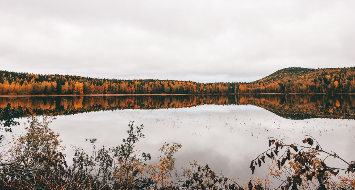 Finnish Lakeland: Where To Visit & What To Do In 2020!