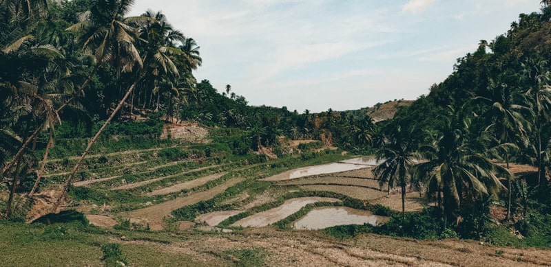 30 Best Things To Do In Bohol + 3 Day Itinerary!