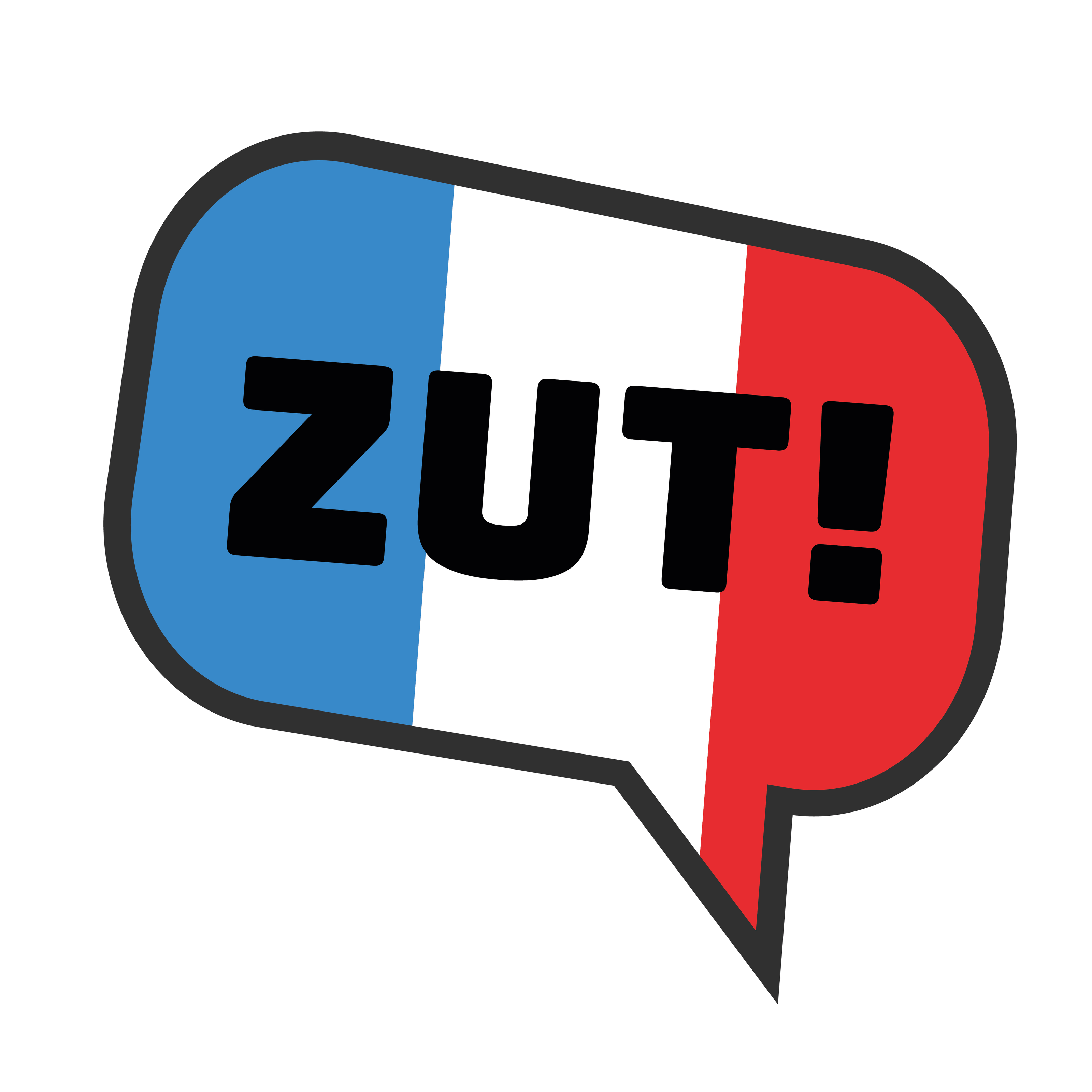 ZUT - Language Skills