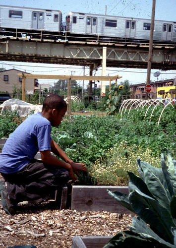 Think Global, Buy Local