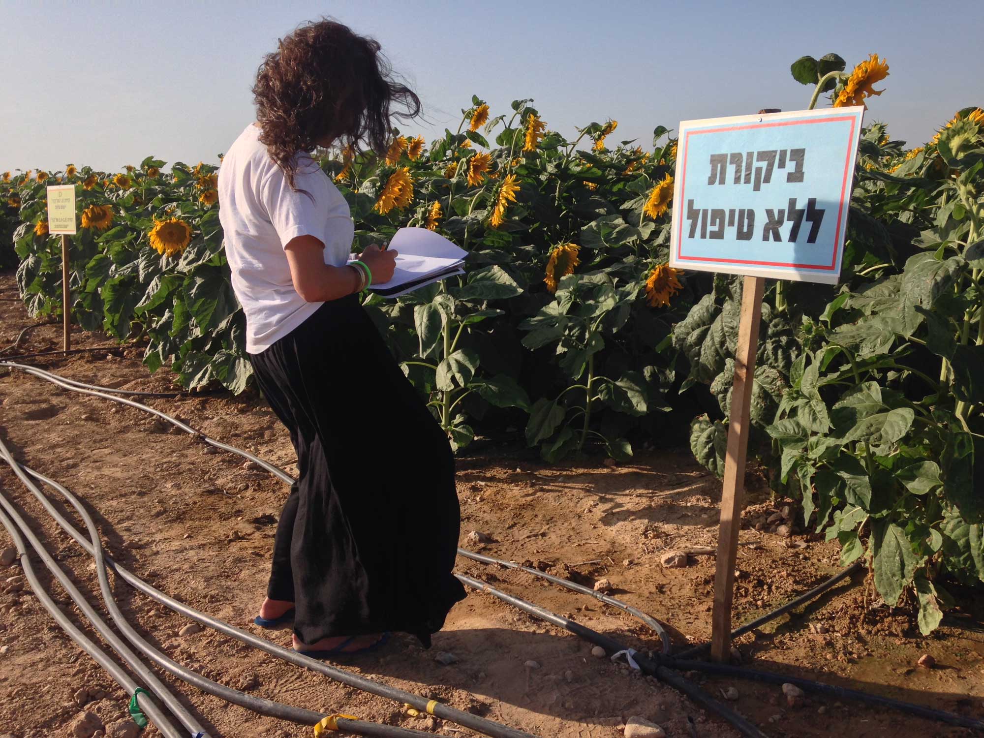 Growing the Next Generation of Placemakers in the Negev Desert