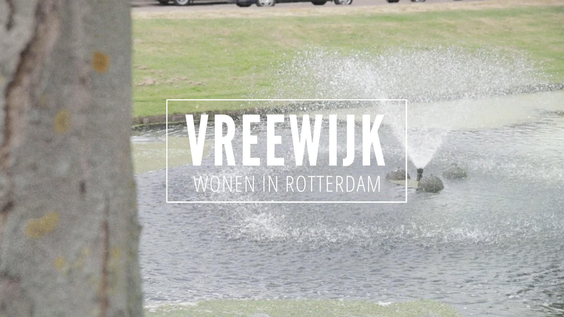 Vreewijk is een groene oase - Wonen In Rotterdam