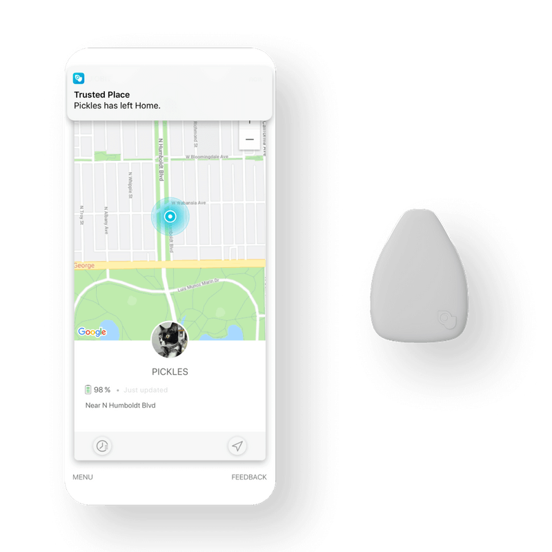 Cat Tracker: Cat GPS Tracker | Jiobit