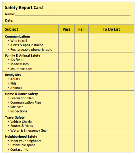 Summer Safety Report Card