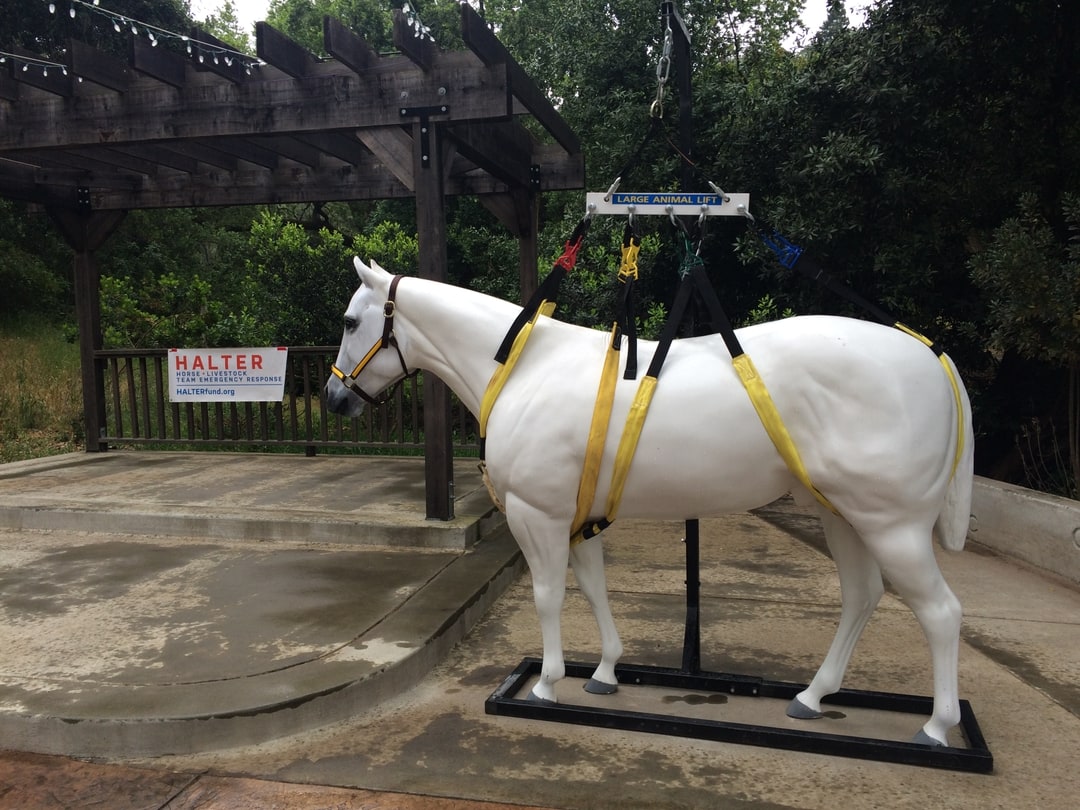 HALTER Project | Equipment and Resources