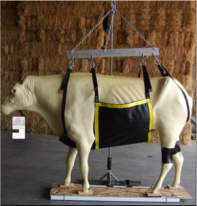Technical Large Animal Rescue | Commerical Lifts and Slings