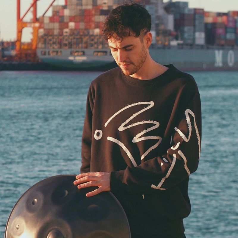 Learn to play handpan the easy way. Enroll for free to our tutorials ...