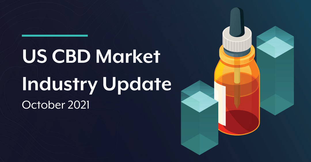 Brightfield Group Resources - Download Your Essential Guides & Reports