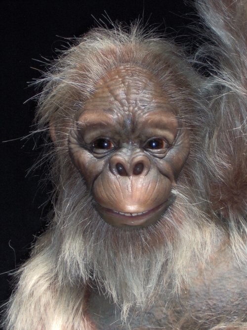 Animatronic Female Dryopithecus | Animatronic Types & Technology