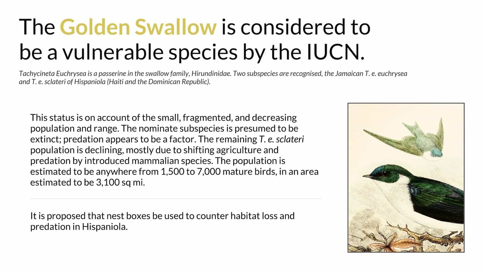 Text Slide Template | Beautiful.ai