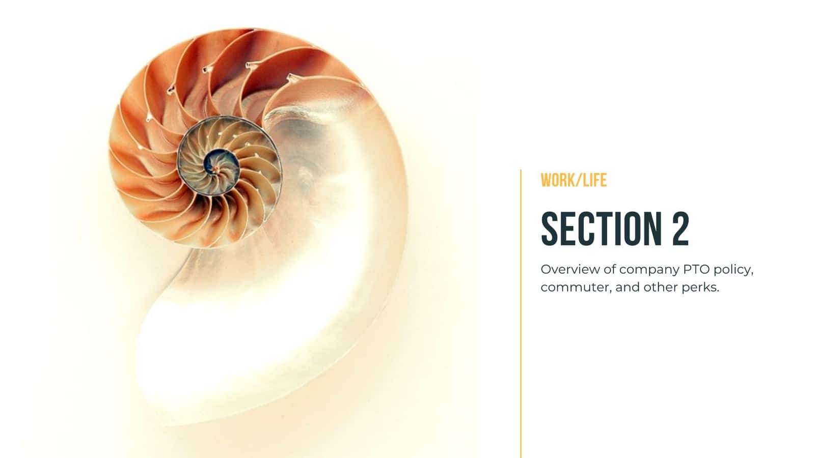 Break Slide Template | Beautiful.ai