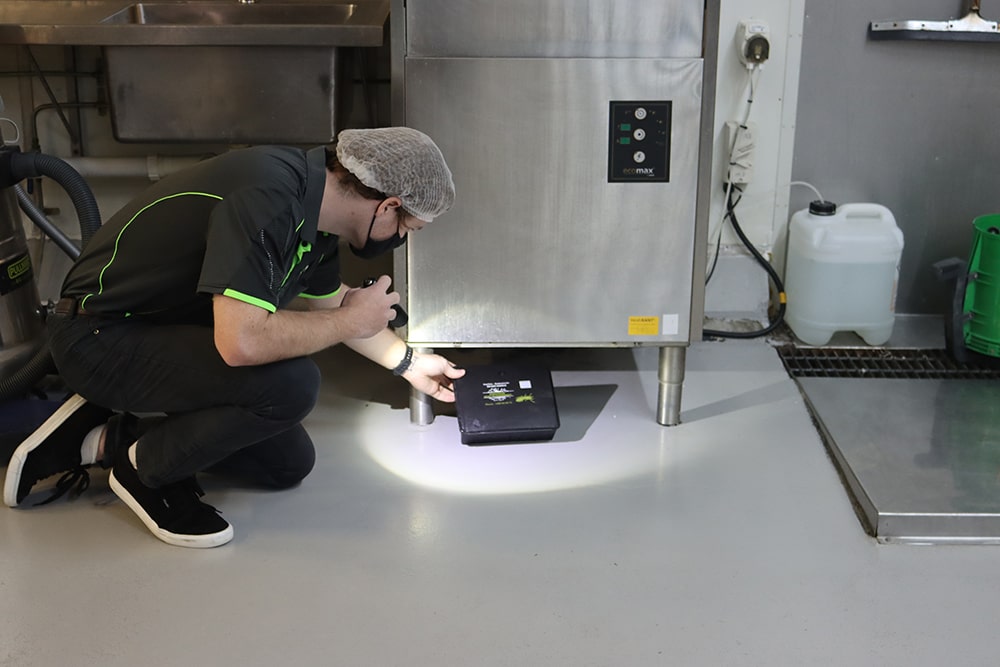 Commercial Rodent Control | Book a Free Assessment