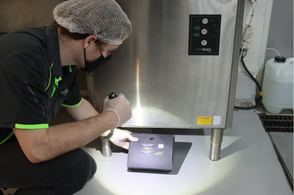 Commercial Rodent Control | Book a Free Assessment