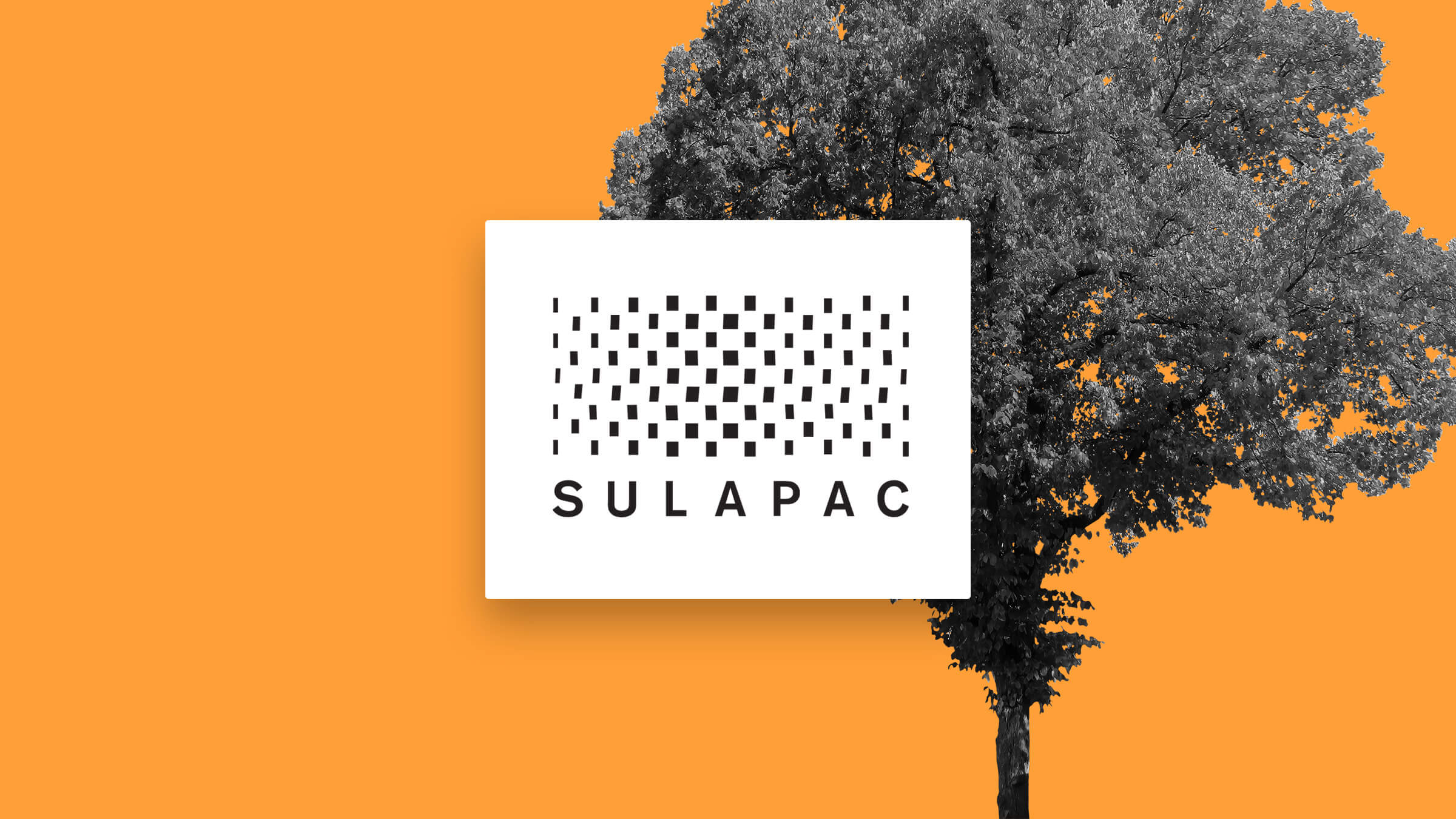 WorkClout - Sulapac Team Accelerates Renewables in Packaging