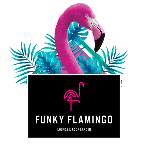 Bottomless Brunch | Funky Flamingo Lounge | Southampton