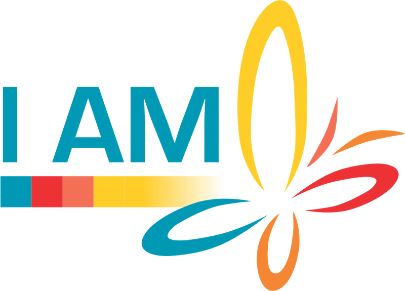 I AM HR Support | Voor organisaties die zelf geen HR in huis hebben