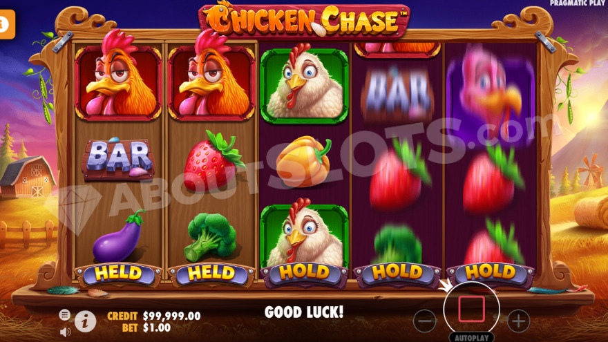 Chicken Chase (Pragmatic Play) Slot Review - 💎AboutSlots