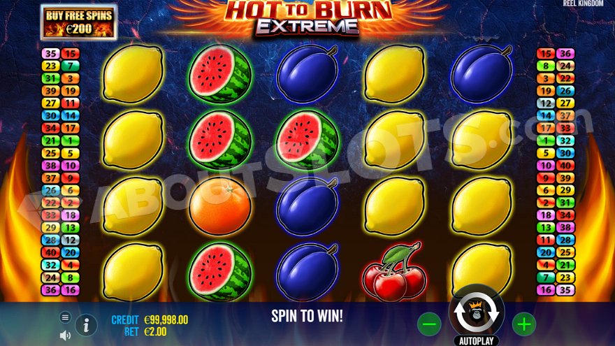 Hot to Burn Extreme (Reel Kingdom) Slot Review - 💎AboutSlots