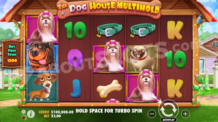 The Dog House Multihold (Pragmatic Play) Slot Review - 💎AboutSlots