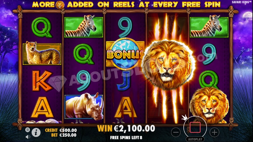 Safari King (Pragmatic Play) Slot Review - 💎AboutSlots