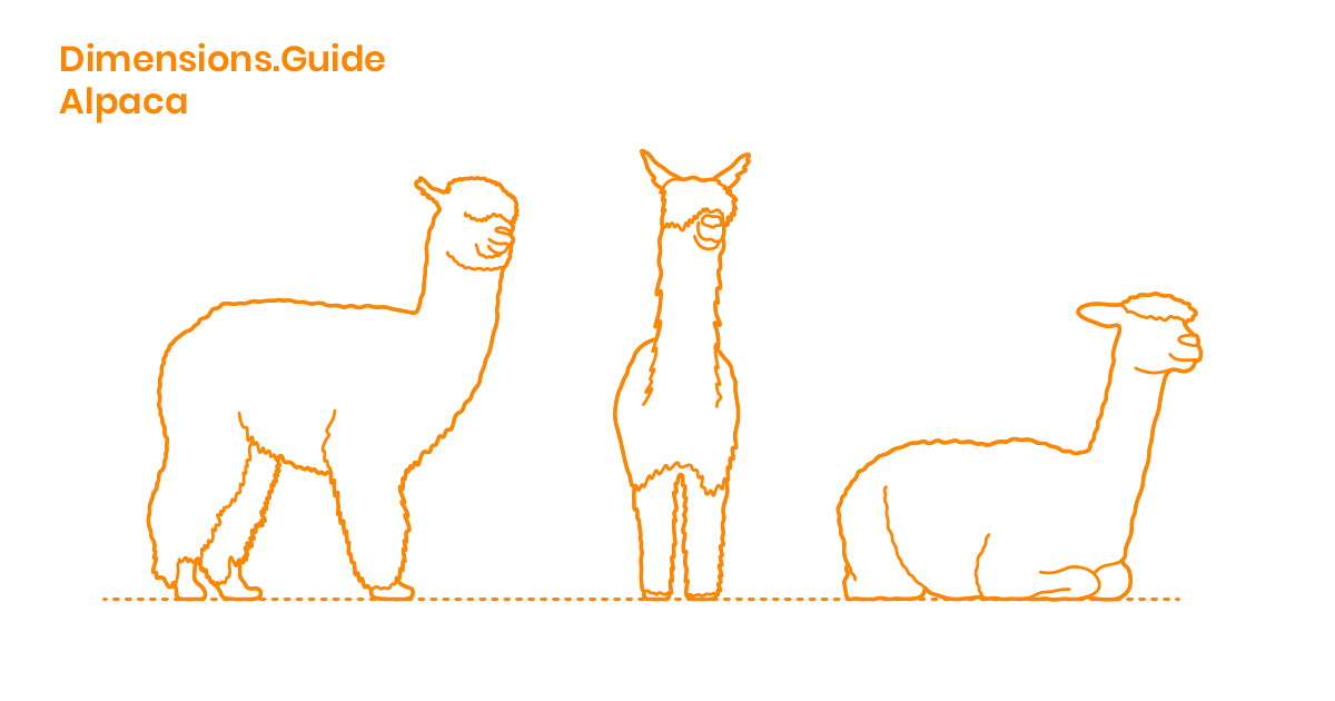 Alpaca Dimensions & Drawings | Dimensions.Guide