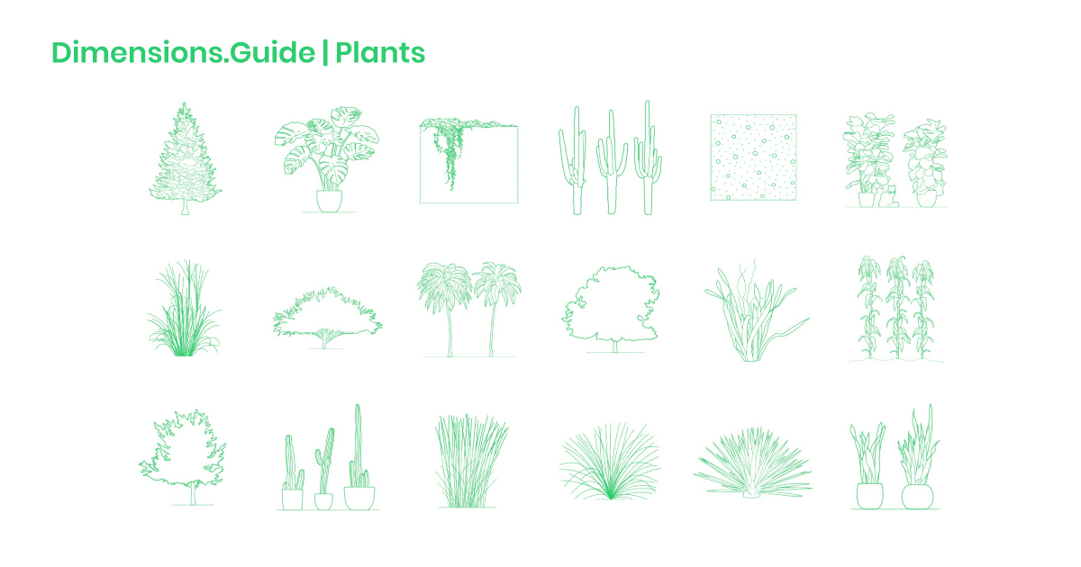 Browse Plants | Dimensions.com
