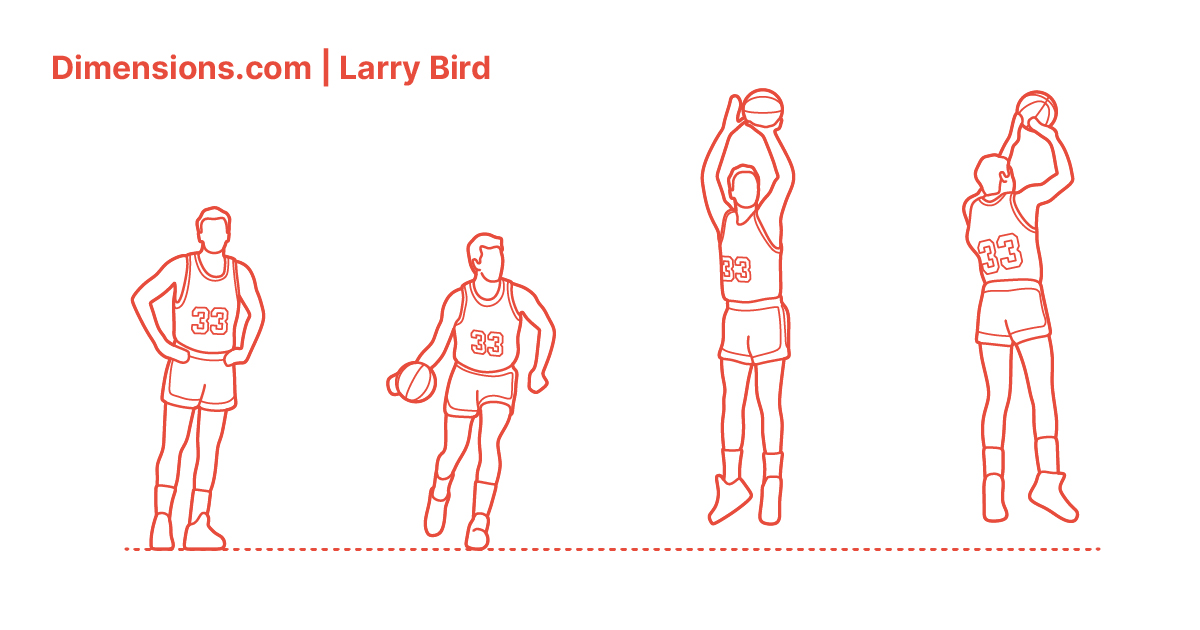 Larry Bird Dimensions & Drawings | Dimensions.com