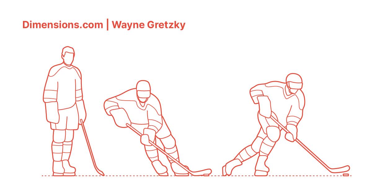 Wayne Gretzky Dimensions & Drawings | Dimensions.com