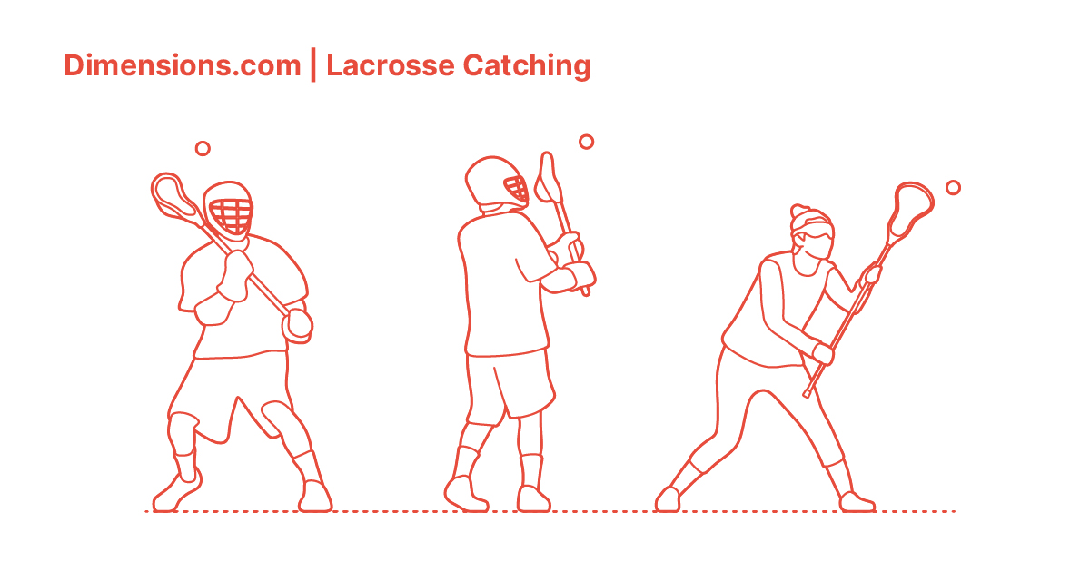 Lacrosse Catching Dimensions & Drawings | Dimensions.com