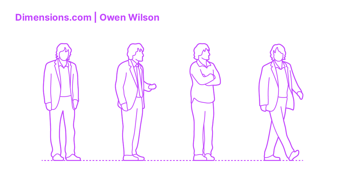 Owen Wilson Dimensions & Drawings | Dimensions.com