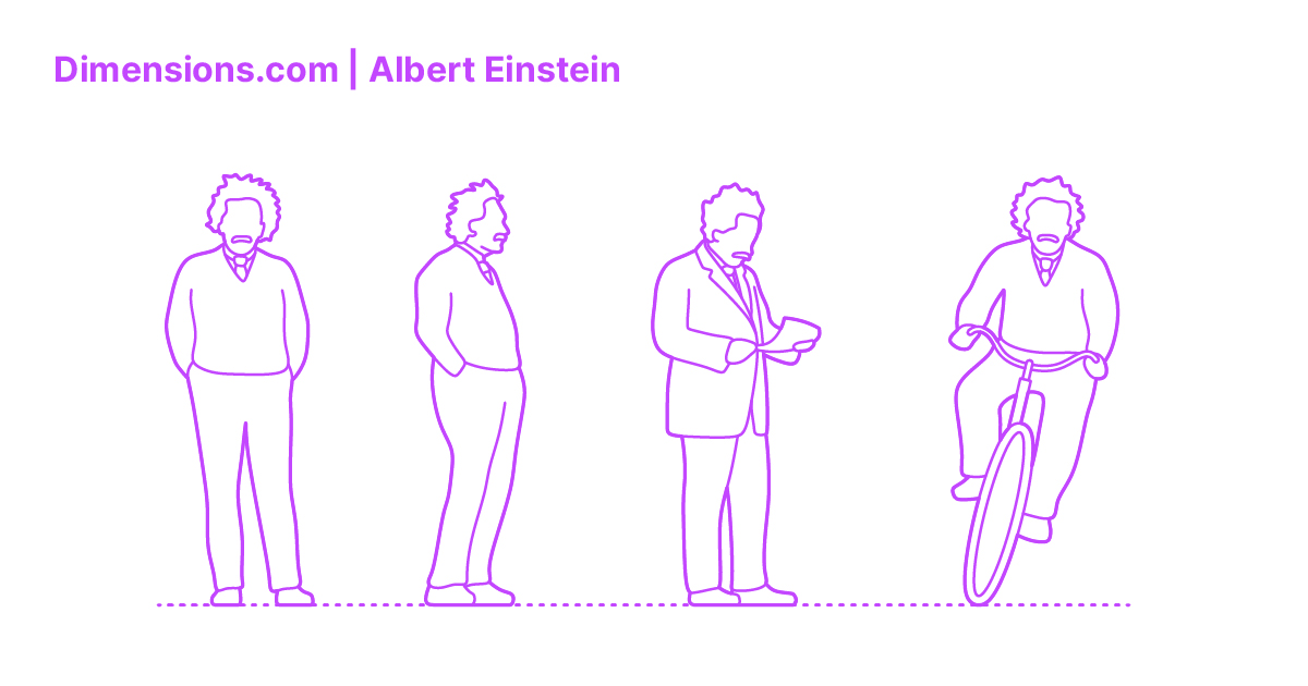 Albert Einstein Dimensions & Drawings | Dimensions.com