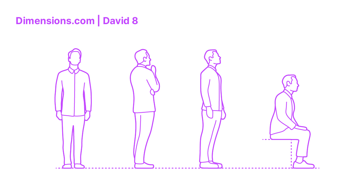 David 8 Dimensions & Drawings | Dimensions.com