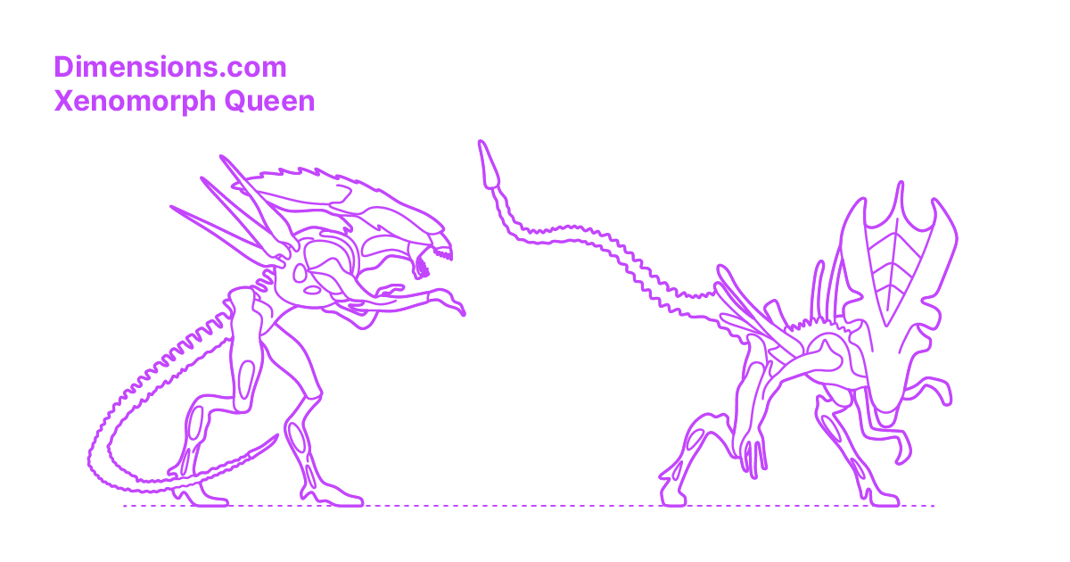 Xenomorph Queen Dimensions & Drawings | Dimensions.com