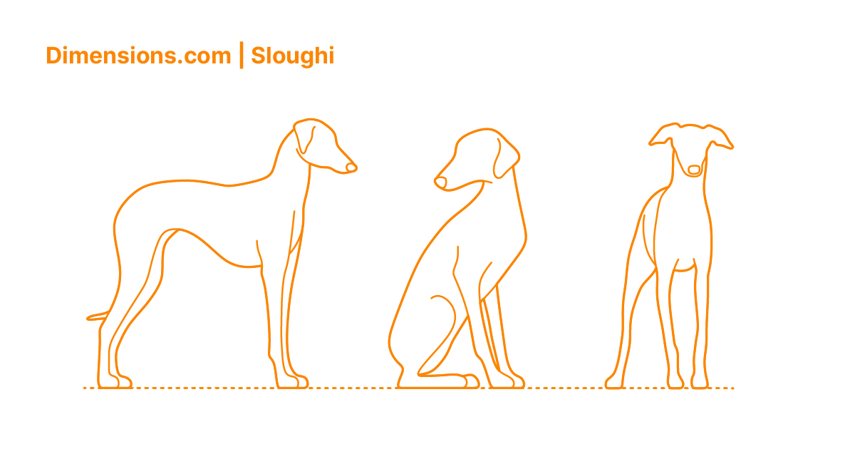 Are Pig Ears Bad For A Sloughi