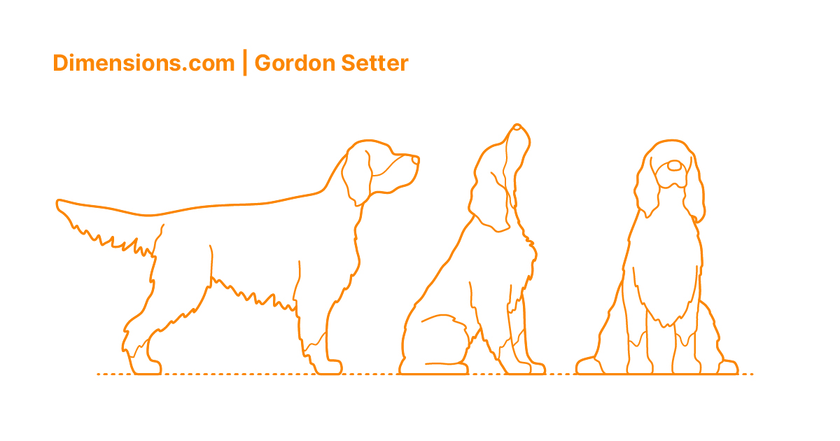 Do Gordon Setter Howl
