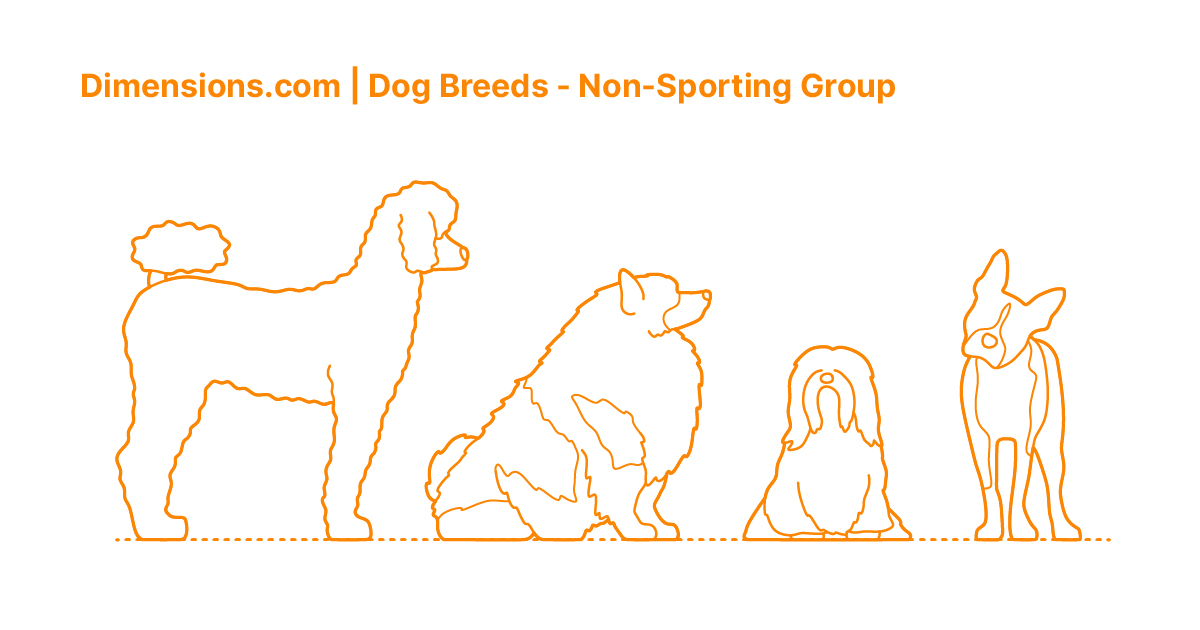 What Dogs Are In The Non Sporting Group