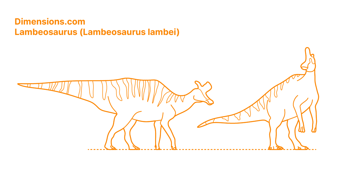Lambeosaurus Skeleton