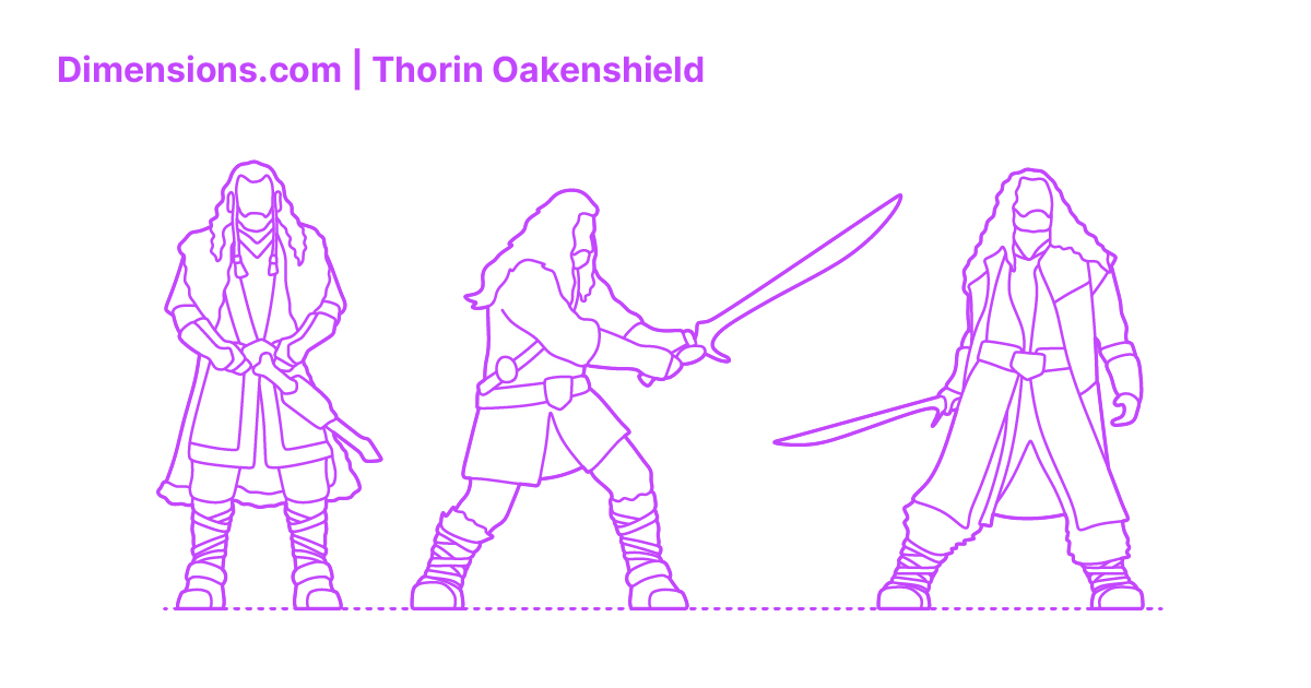 Lord Of The Rings Thorin Oakenshield